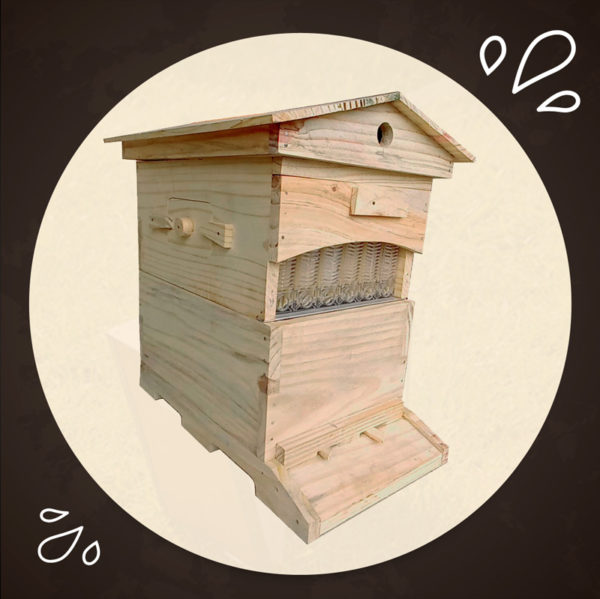 Automatic Flow Hive(Without Bees) - Beefarm.co.in - Automatic flowhive Automatic Flow Hive(Without Bees) - Beefarm.co.in - Automatic flowhive