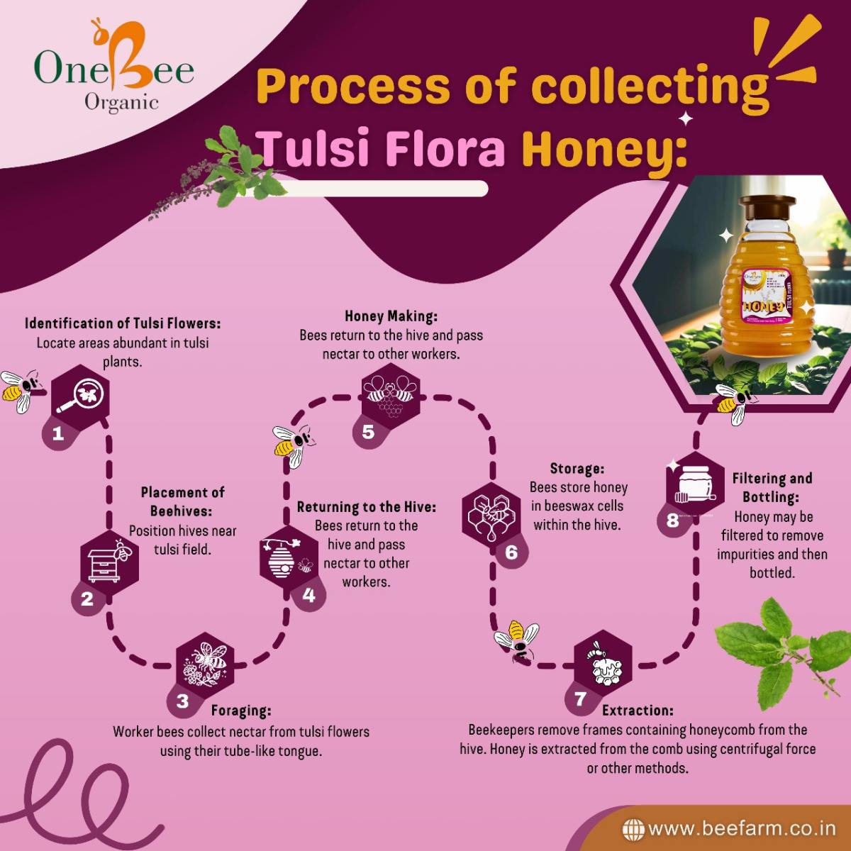 Importance of Stingless Bees - Beefarm.co.in - Agriculture Importance of Stingless Bees - Beefarm.co.in - Agriculture